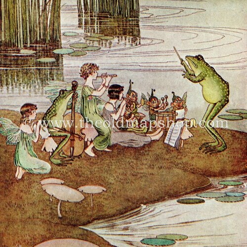 Vintage Fairy Riding a Bat Art Print Ida Rentoul Outhwaite - Etsy