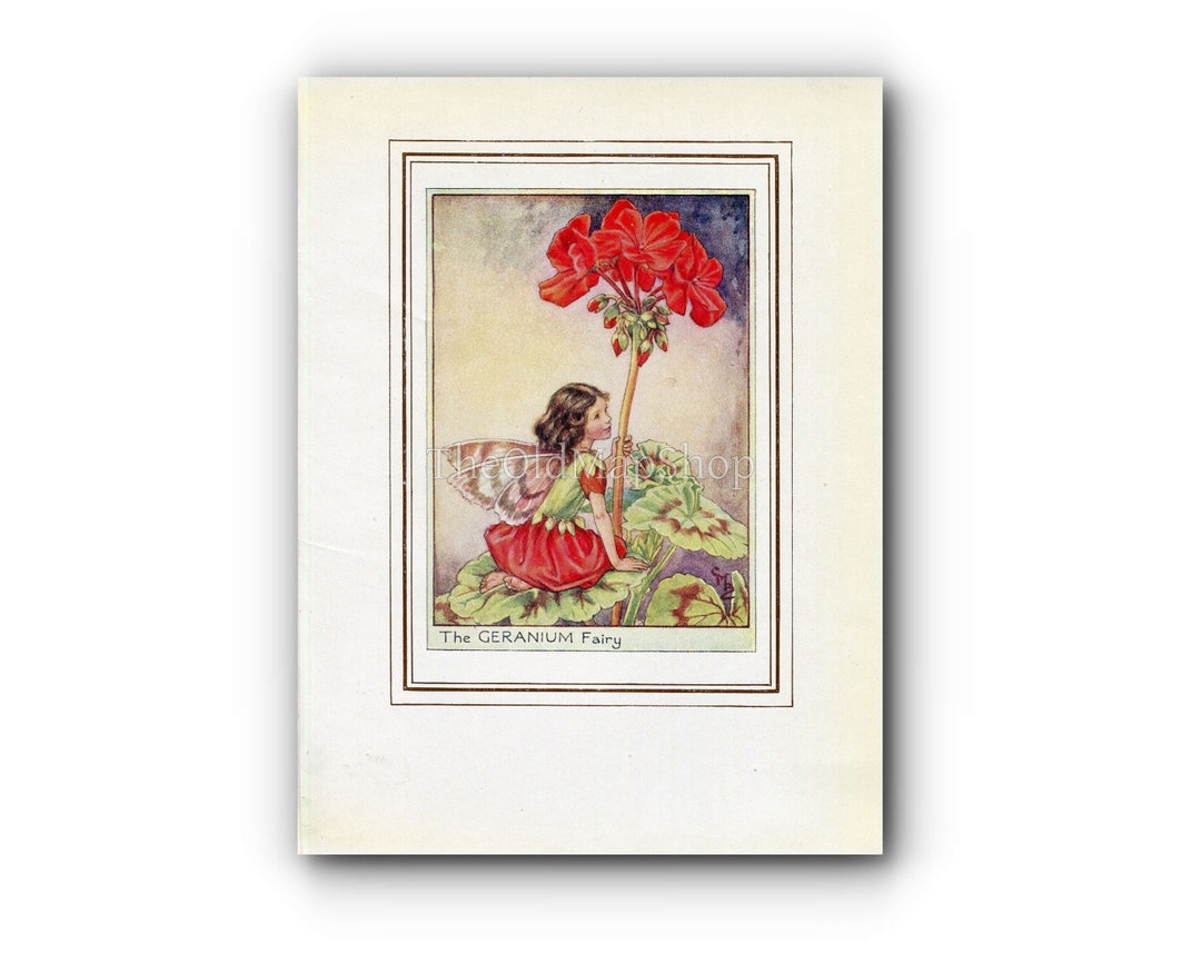 Geranium Flower Fairy 1950's Vintage Print Cicely Barker Garden Book ...