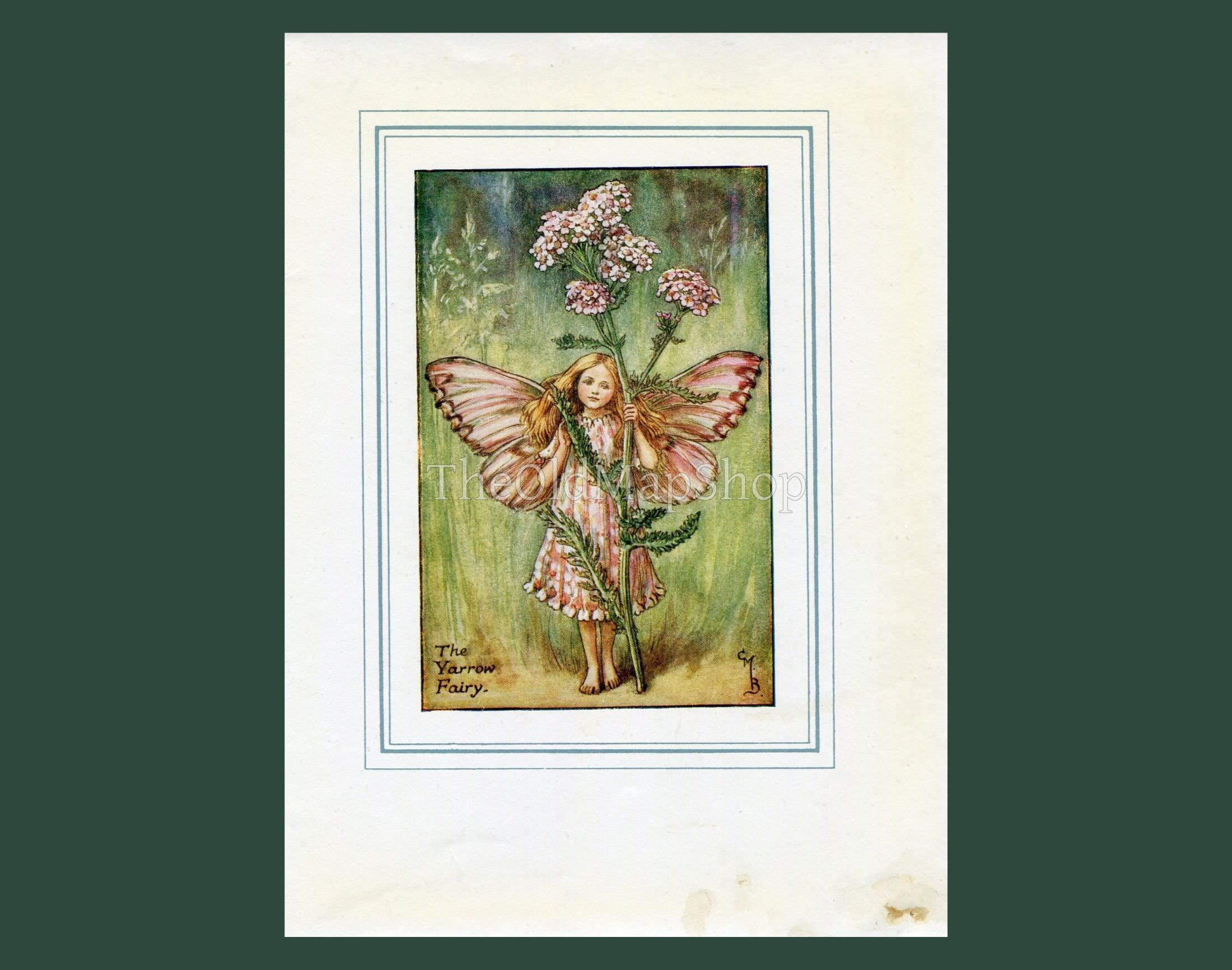 Yarrow Flower Fairy 1930's Vintage Print Cicely Barker - Etsy