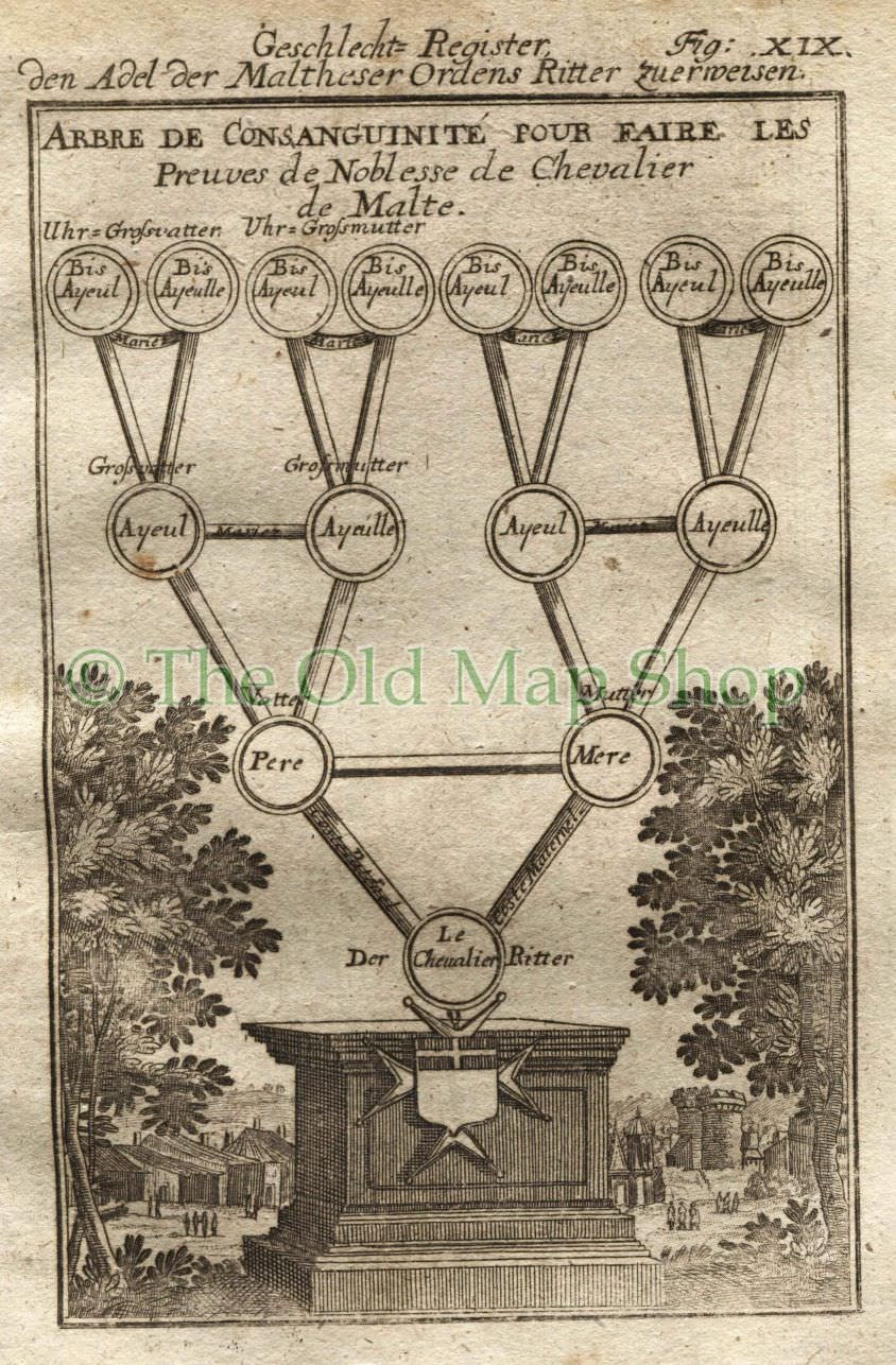 1719 Manesson Mallet Malta Ancestral Tree Knight Hospitaller - Etsy
