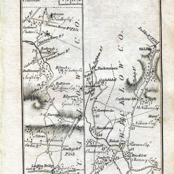 Shillelagh Decor - Etsy