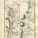 1778 Taylor & Skinner Antique Ireland Road Map 121/122 Clonmel ...