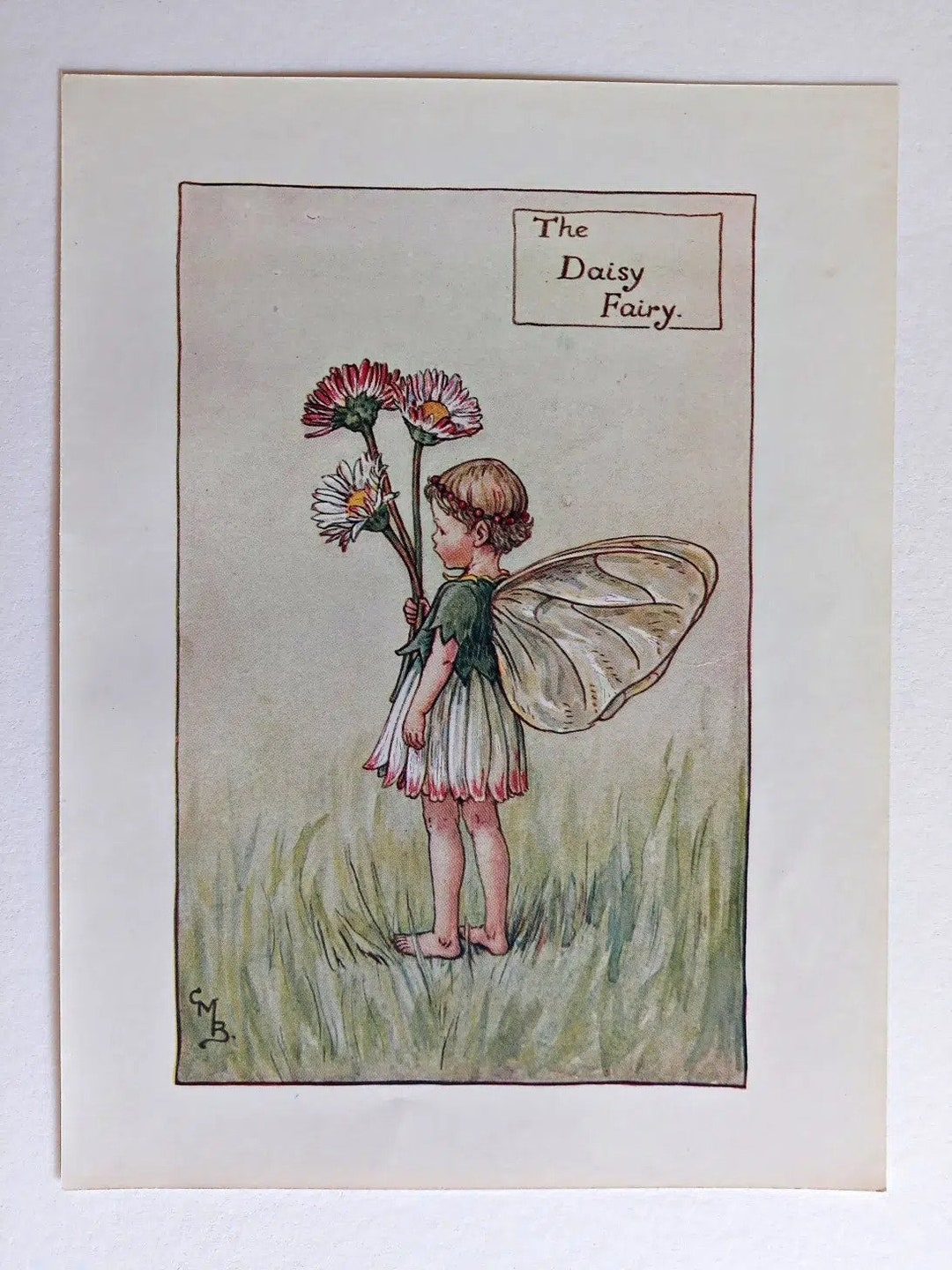Daisy Flower Fairy, Vintage Print 1930's Cicely Mary Barker, Spring ...