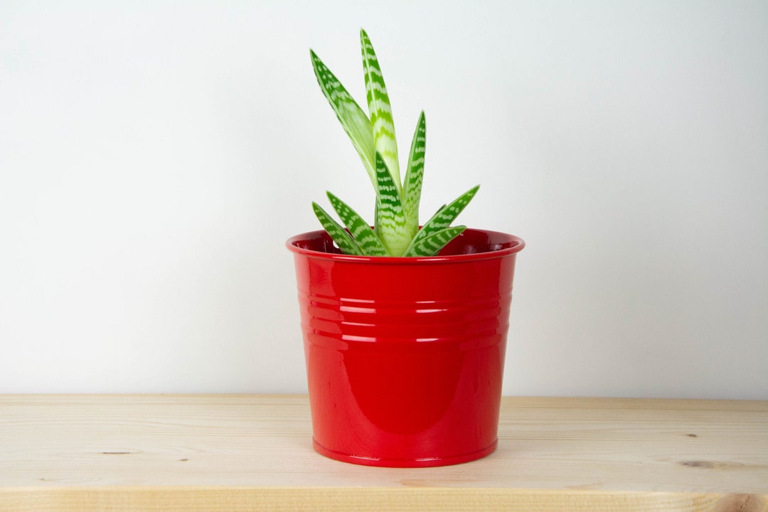 Metal Plant Pot - Red Gloss Color - Metal Planter - Succulent Planter ...