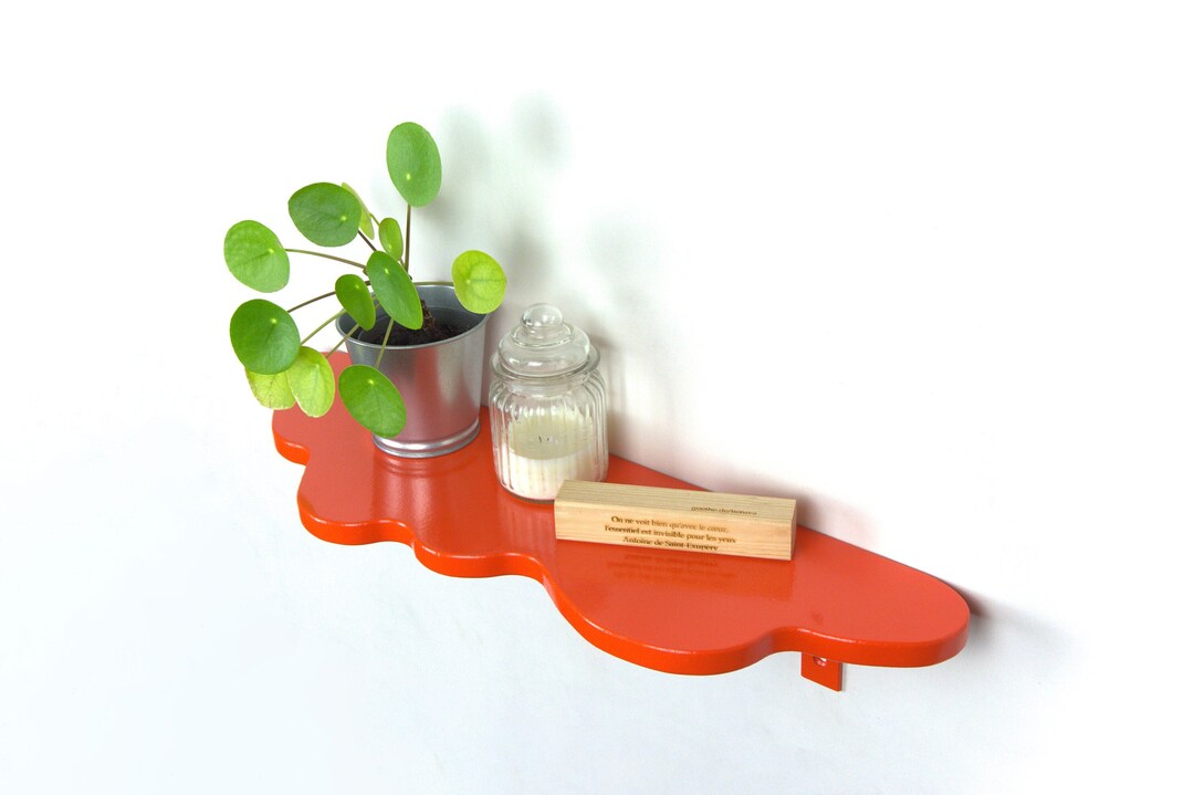 Aesthetic Shelf - Orange Shelf, Plant Shelf, Floating Wavy Shelf, Funky ...