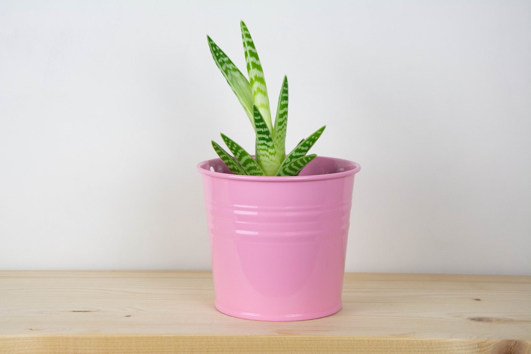Metal Plant Pot - Pastel Pink Color - Metal Planter - Succulent Planter ...