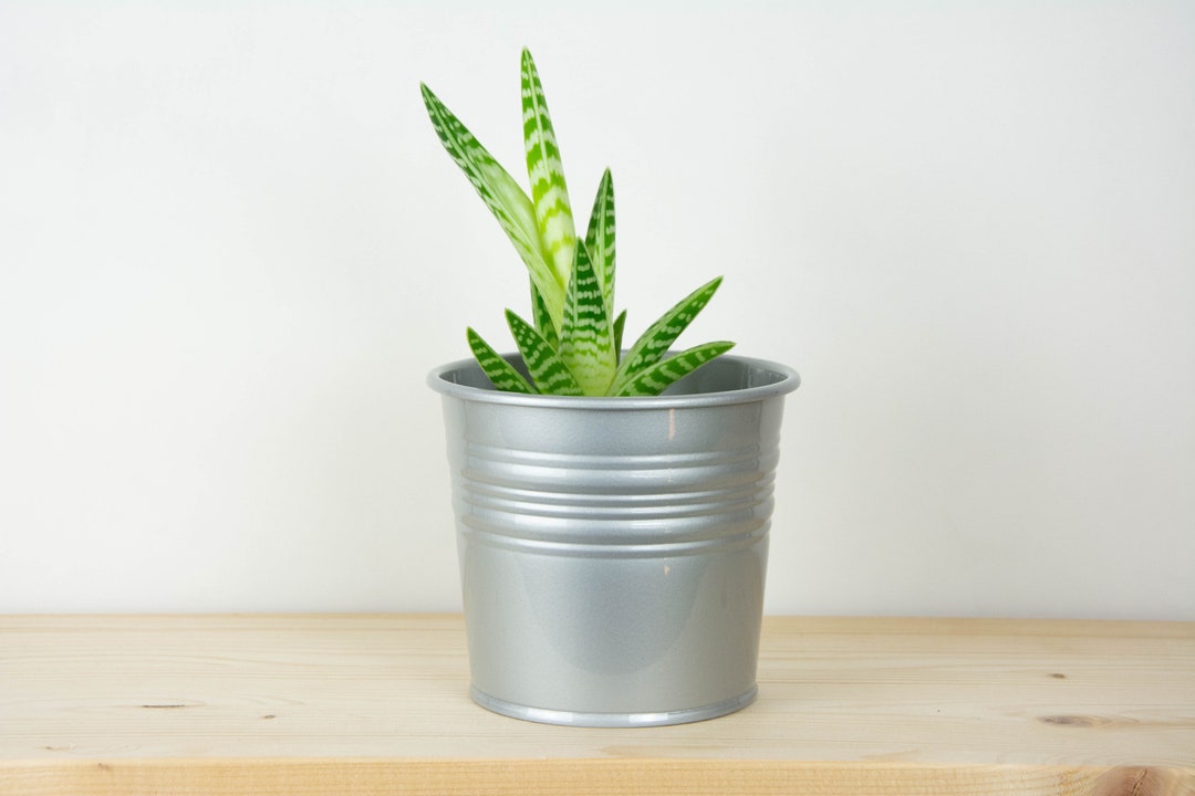 Metal Plant Pot - Aluminium Gloss Color - Metal Planter - Succulent ...