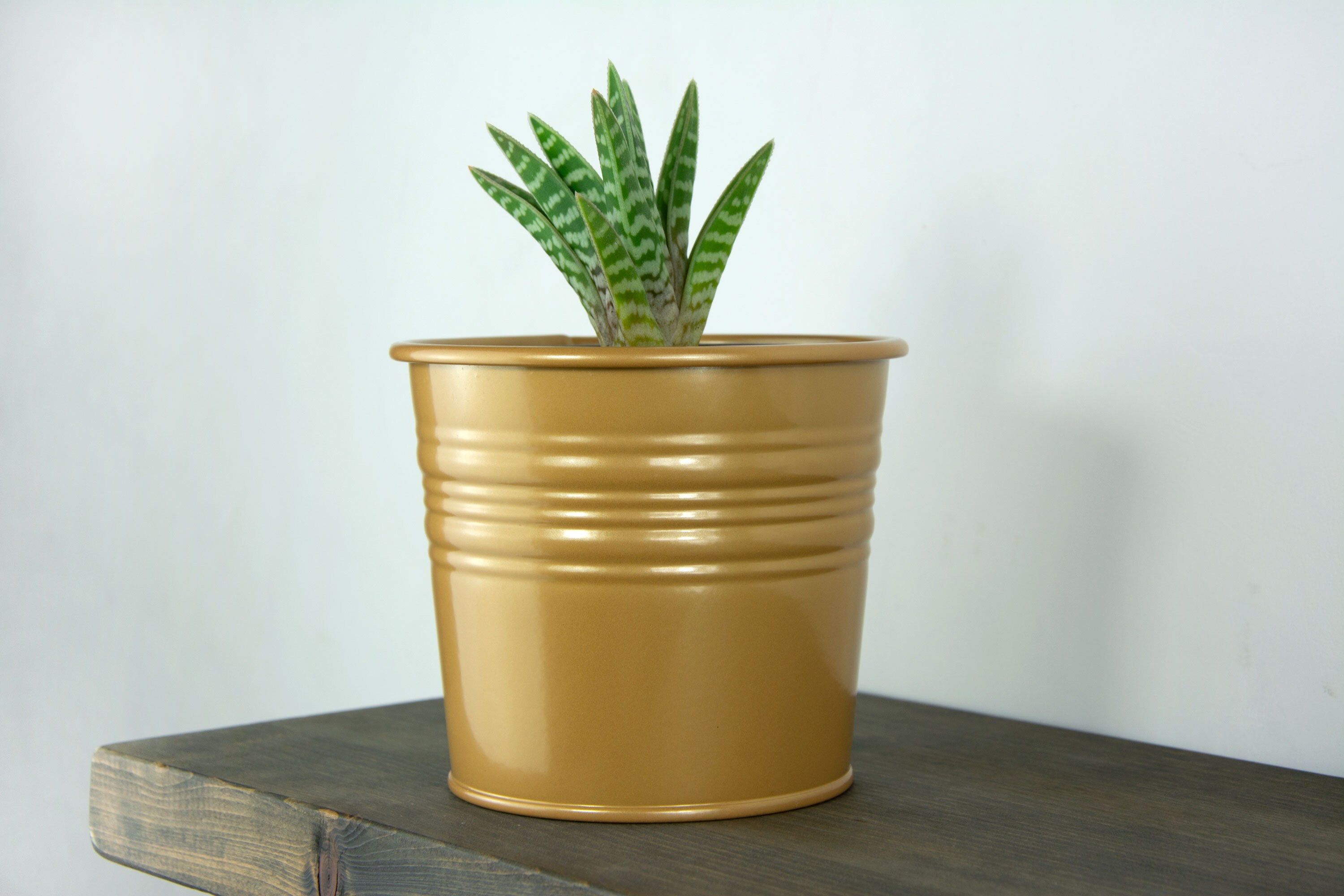 Plant Pot - Metal Plant Pot - Gold Beige Color - Plant Holder - Home ...