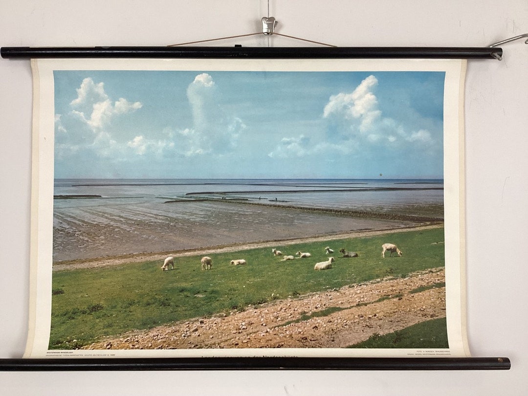 Vintage Pull Down School Chart of Land Reclamation on the North Sea ...