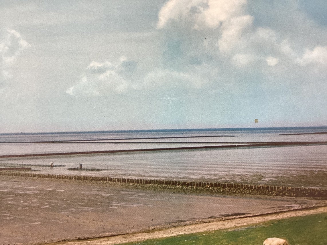 Vintage Pull Down School Chart of Land Reclamation on the North Sea ...