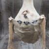 Gourd Bat - Etsy