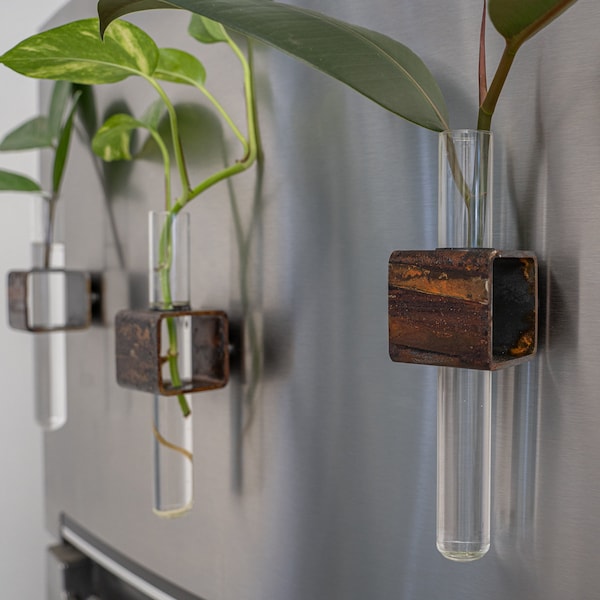 Propagation Tubes - Etsy