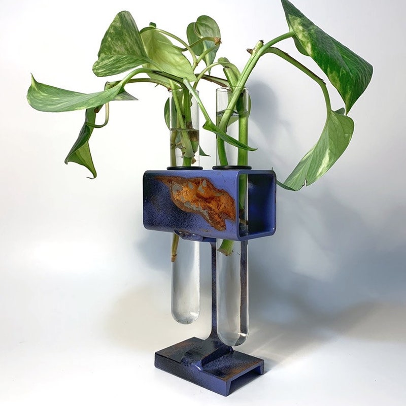 Propagation Station - Etsy