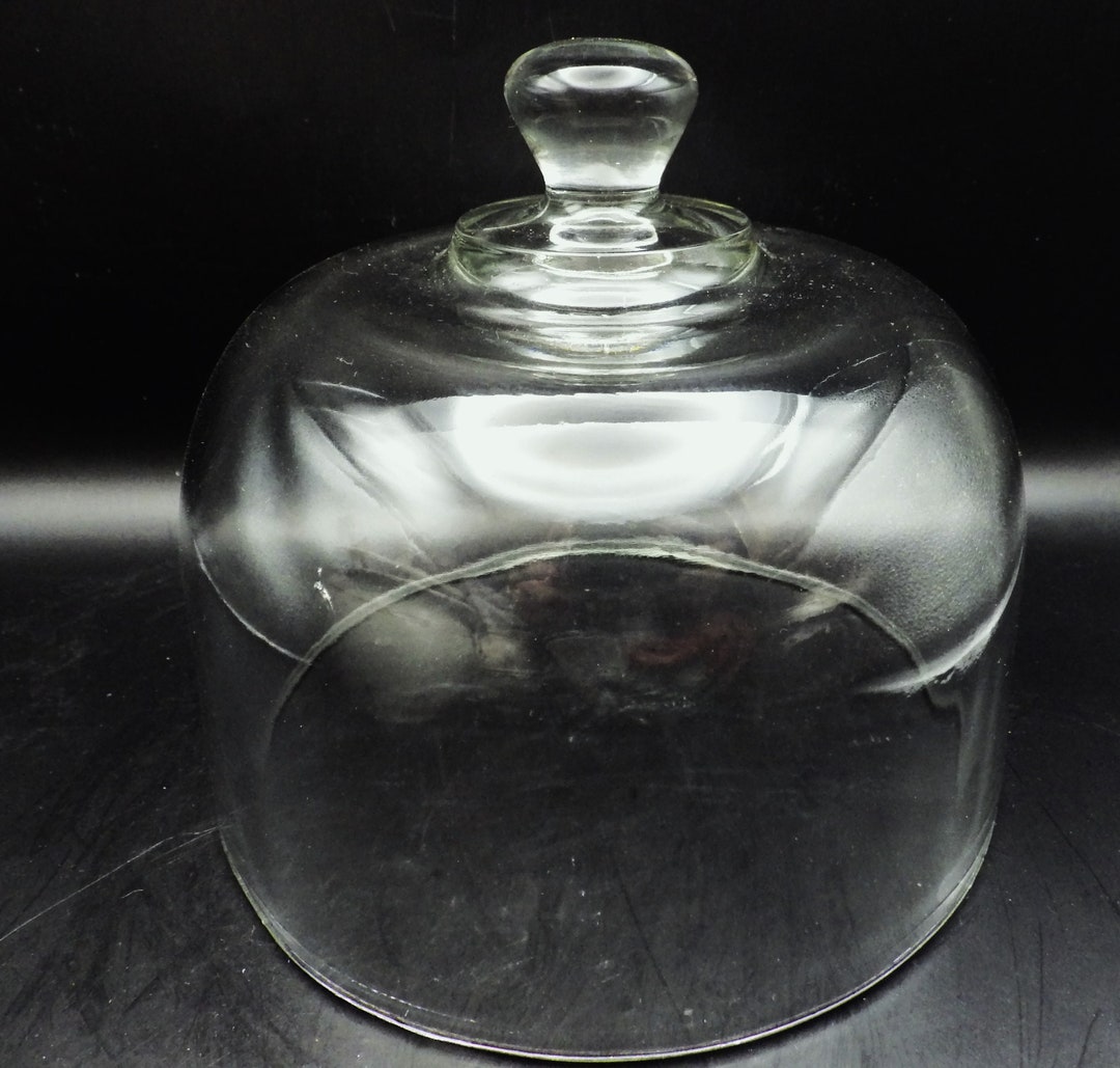 Clear Glass Dome/ Knob Top/ Cheese Cover/terrarium - Etsy