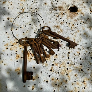 Skeleton Keys Collection, 17 Antique Keys From French Chateau, 19th ...