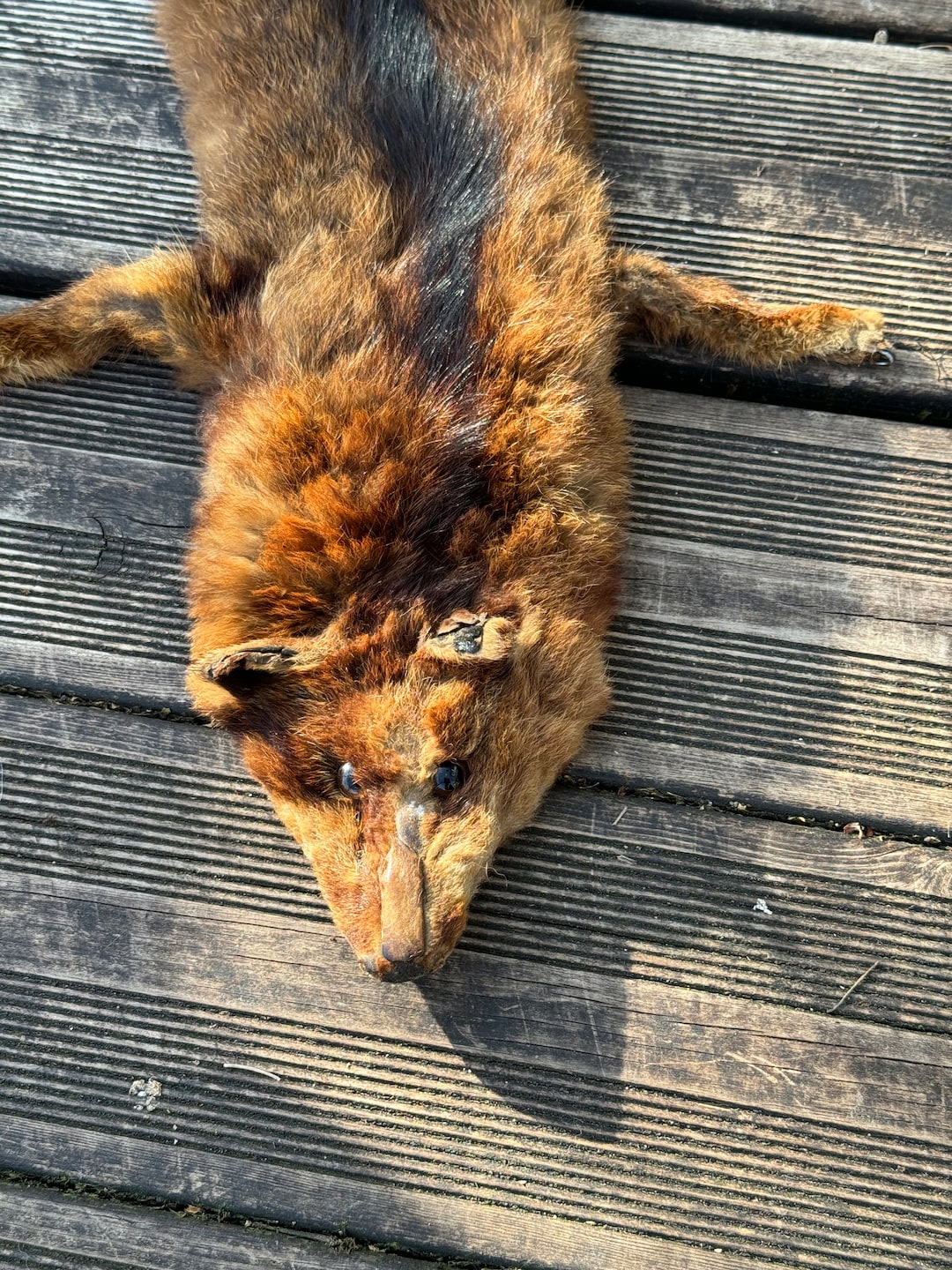 Vintage Fox Fur Full Pelt Wrap, French Stole/collar/shoulder Cape/scarf ...