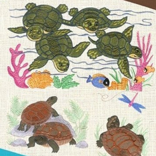 Shellscape Anita Goodesign Embroidery Design - Etsy