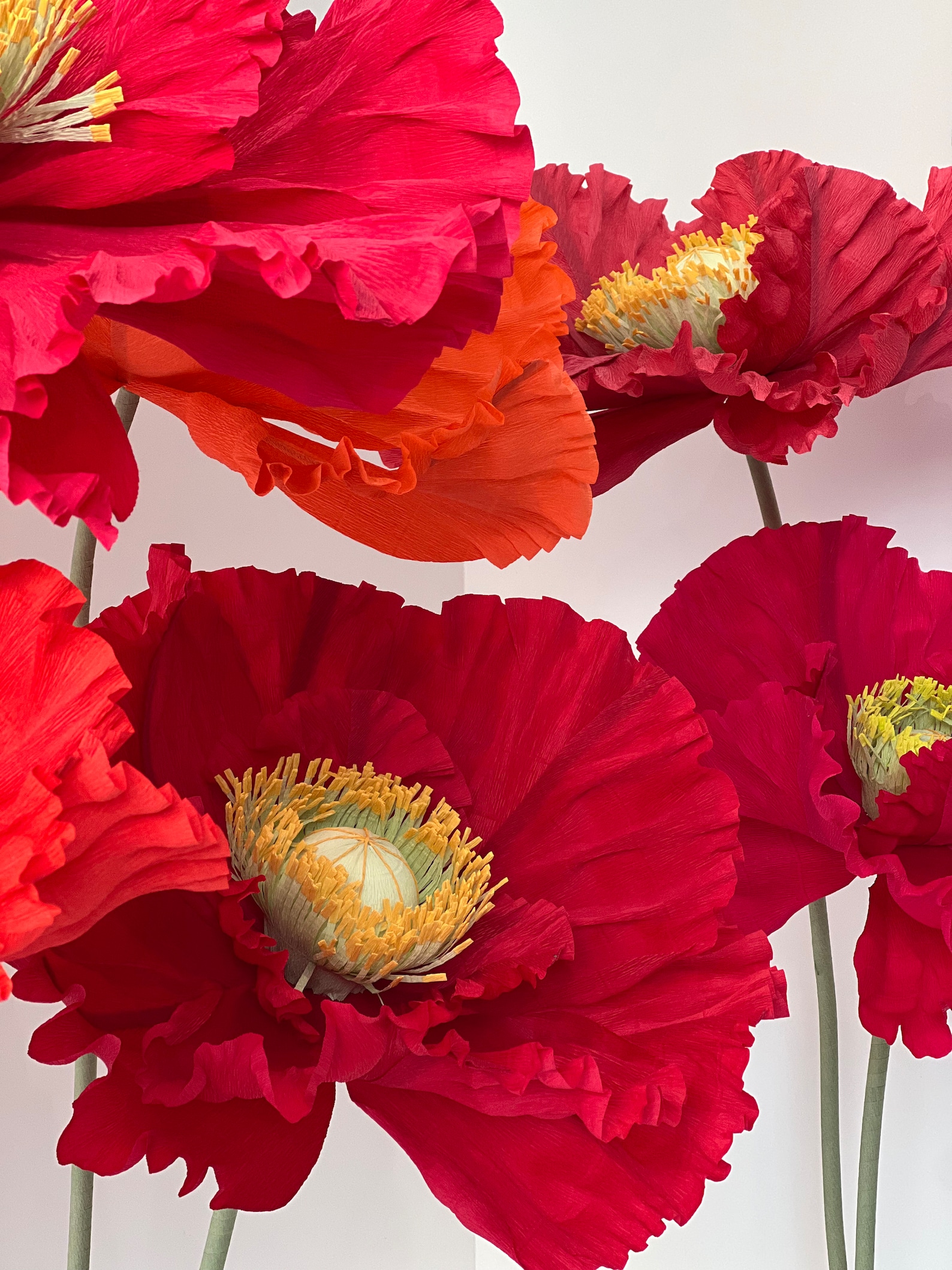 Standing Oversized Paper Poppies Giant Paper Poppies Standing on Its ...