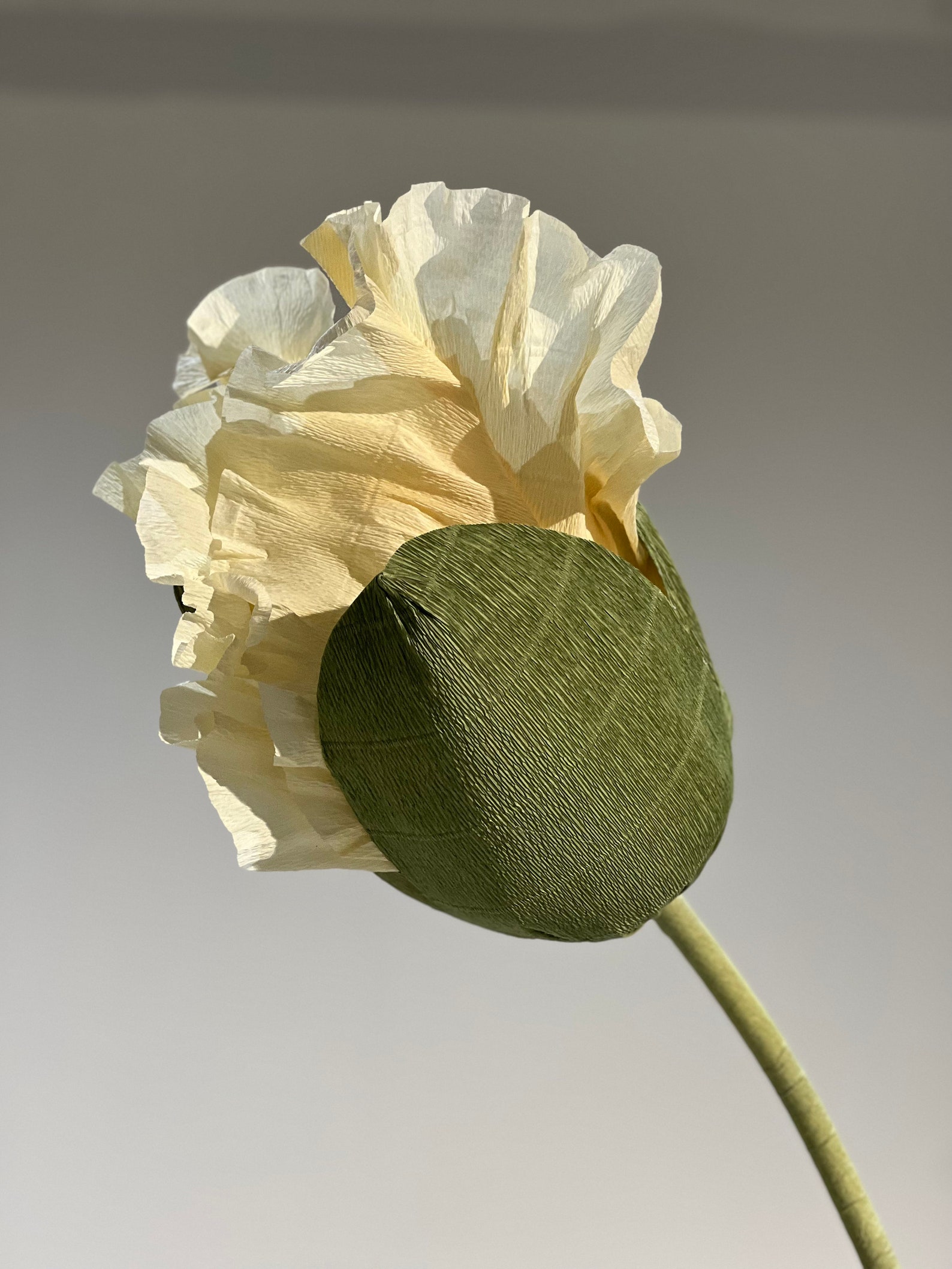Oversized Paper Poppies - Freestanding Event Decor - Etsy