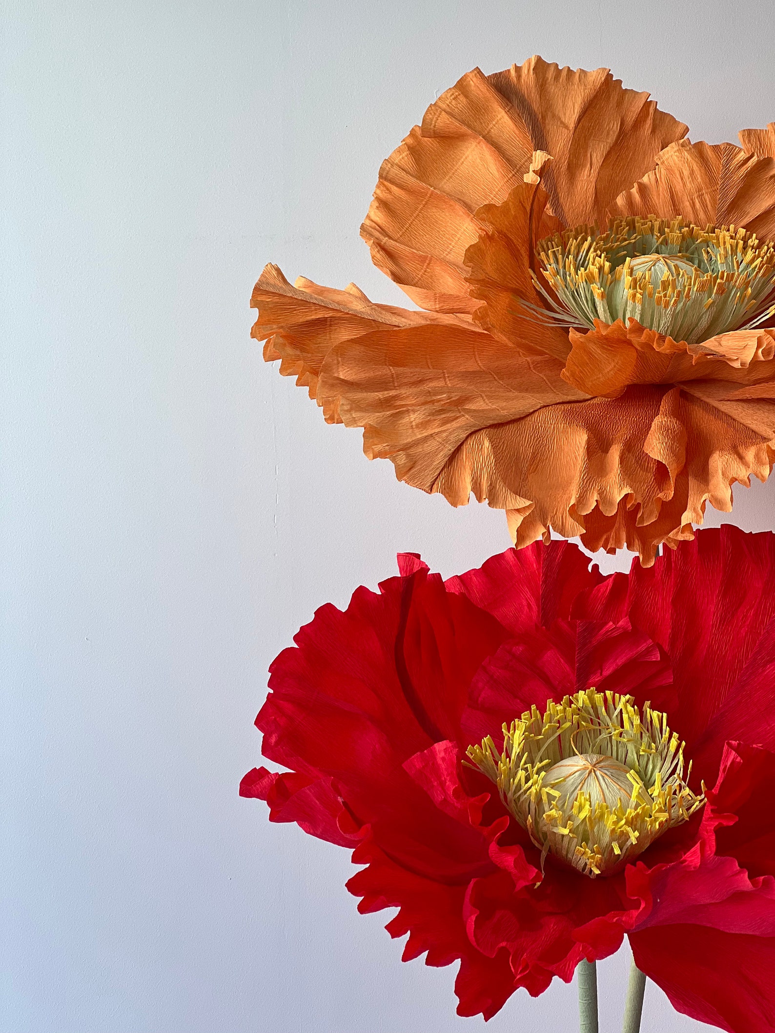 Standing Oversized Paper Poppies Giant Paper Poppies Standing on Its ...