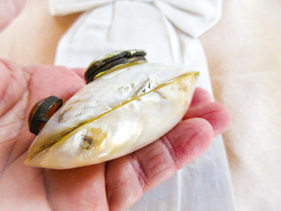 Antique Shell Snuff Box, Victorian Little Purse, Moth… - Gem