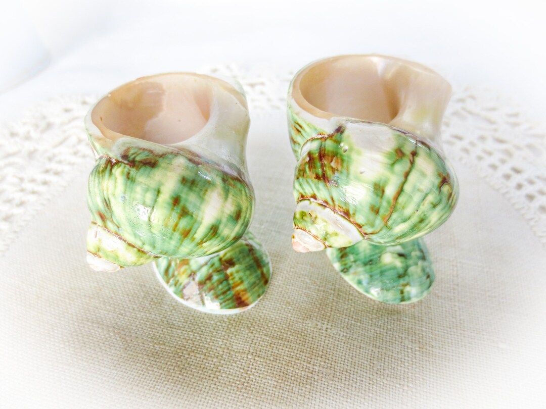 Miniature Set of 2 Shell Salt Cellars, Mother of Pearl Shells With ...