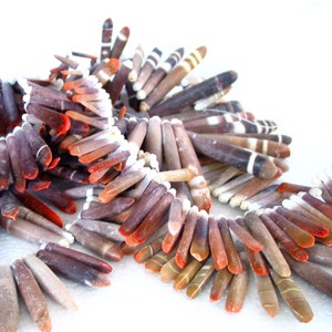 15" 15mm 45mm Singing Beads GRADUATED Long Tusk Spike Ocean Life ...