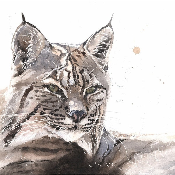 Bobcat Painting - Etsy