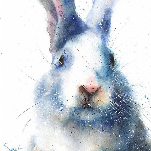 Cougar Watercolor Painting Illustration Art Print by Eric - Etsy