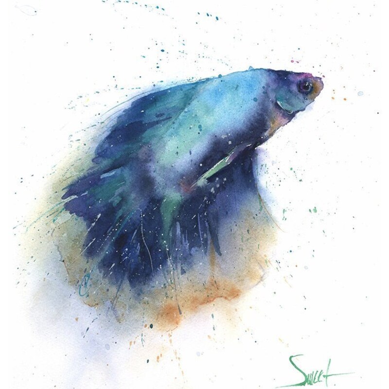 Betta Fish Art - Etsy