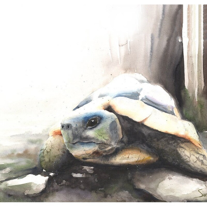 Tortoise Art - Etsy