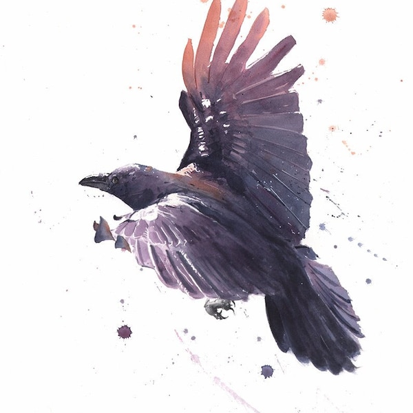 Crow Watercolor - Etsy