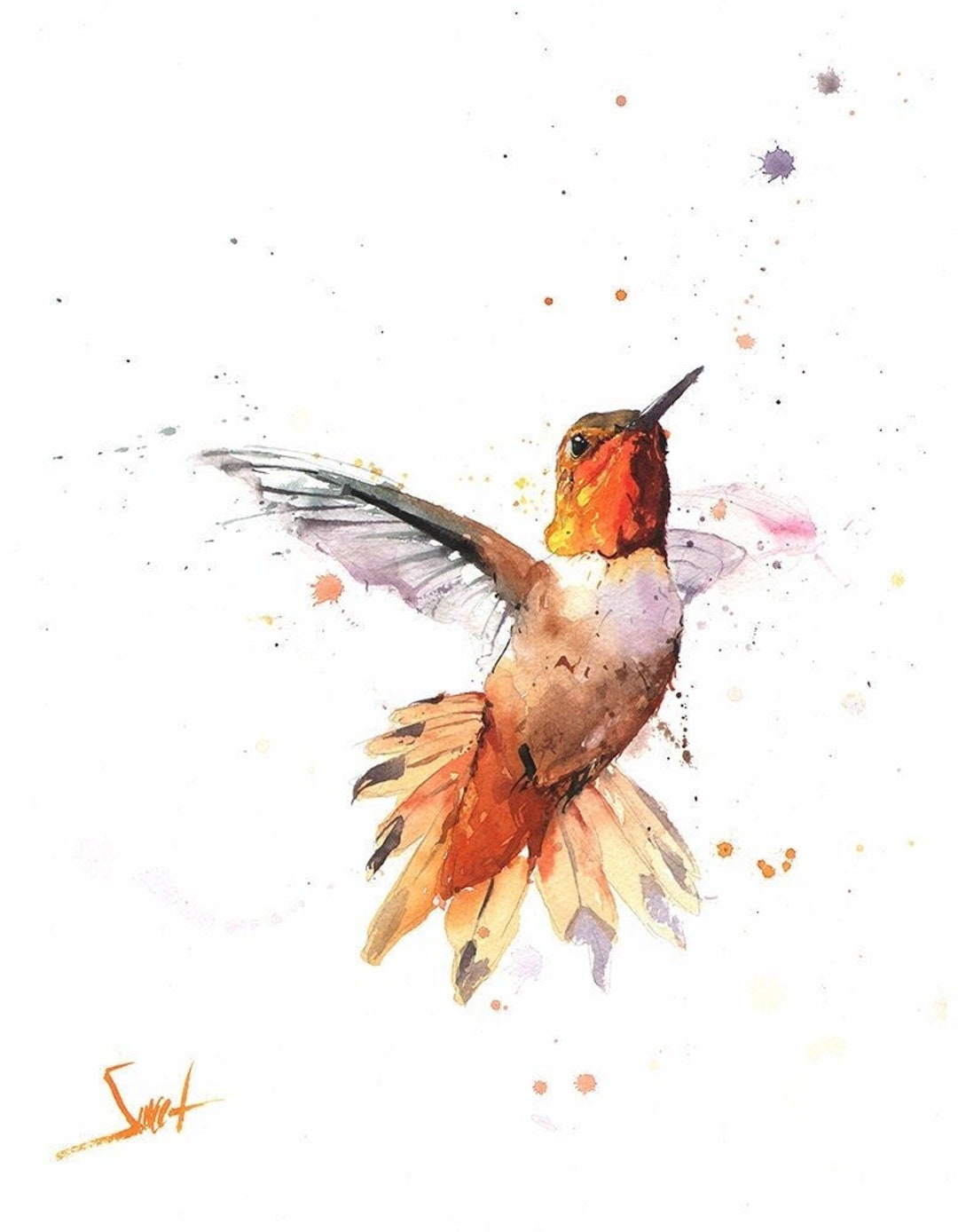 Hummingbird Watercolor Art Print Bird Painting by Eric Sweet - Etsy