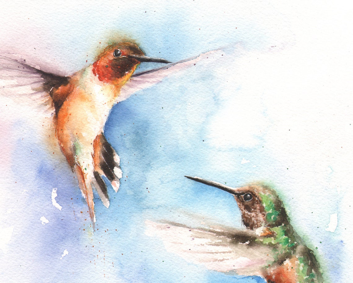 Two Rufous Hummingbird Art Print Watercolor Bird Painting by - Etsy