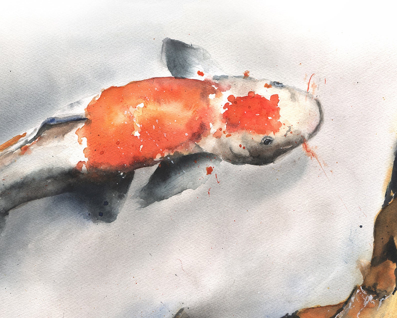 Koi Fish Watercolor Painting Original Watercolor Koi - Etsy