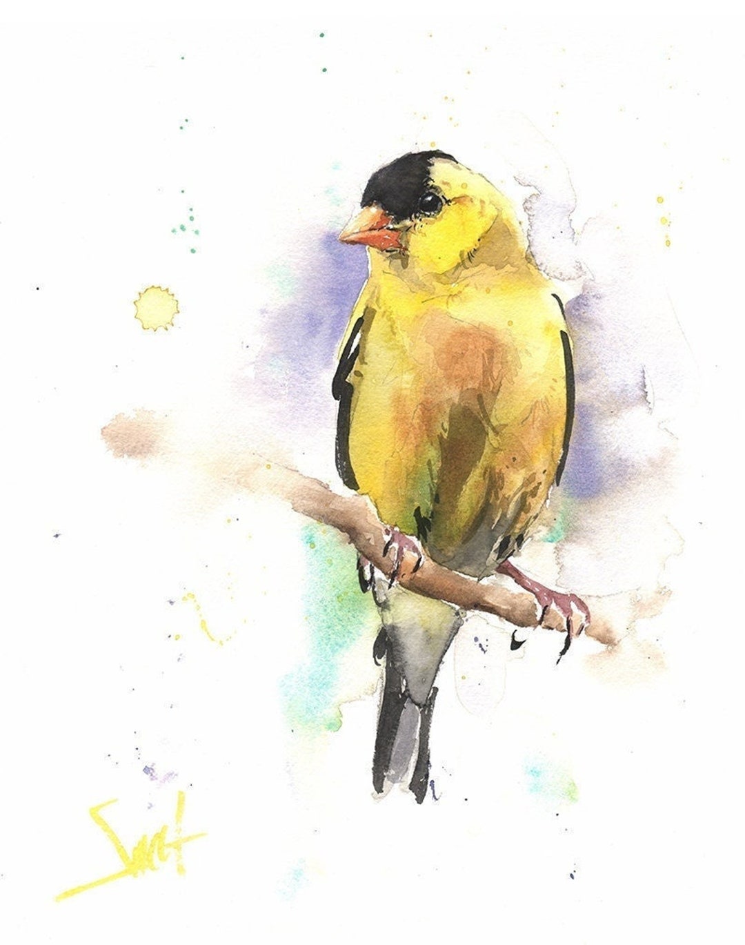 Yellow Goldfinch Art Print - Songbird Wall Art, Bird Lover Gift - Etsy
