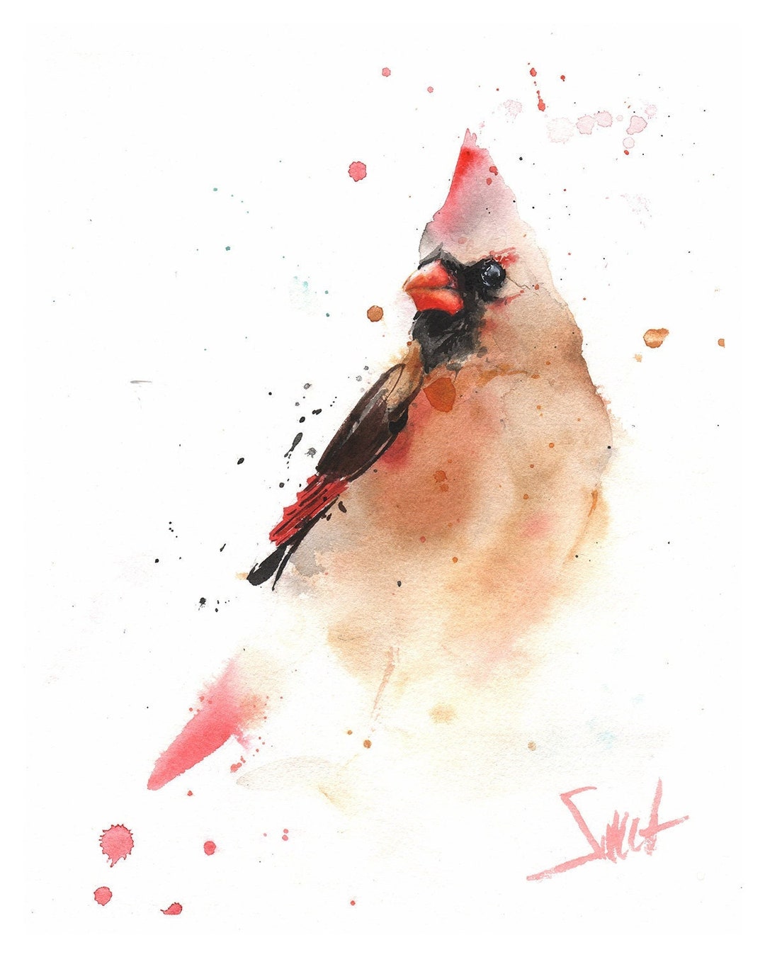 Female Cardinal Watercolor Art Print - Songbird Painting - Etsy