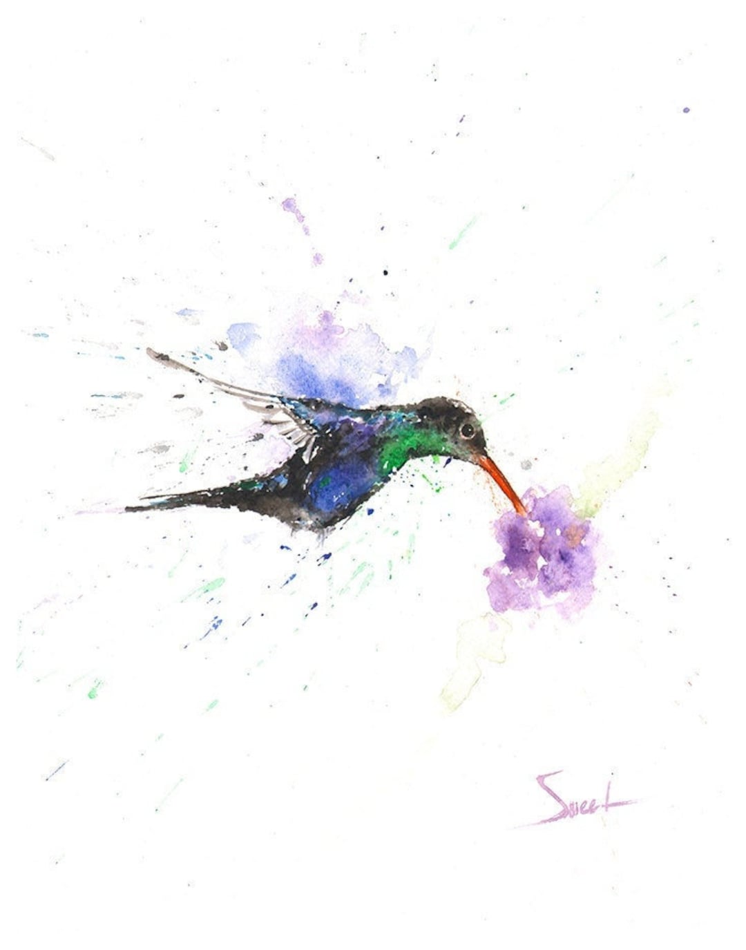 Hummingbird Art Print Watercolor Painting Wall Decor by Eric Sweet - Etsy