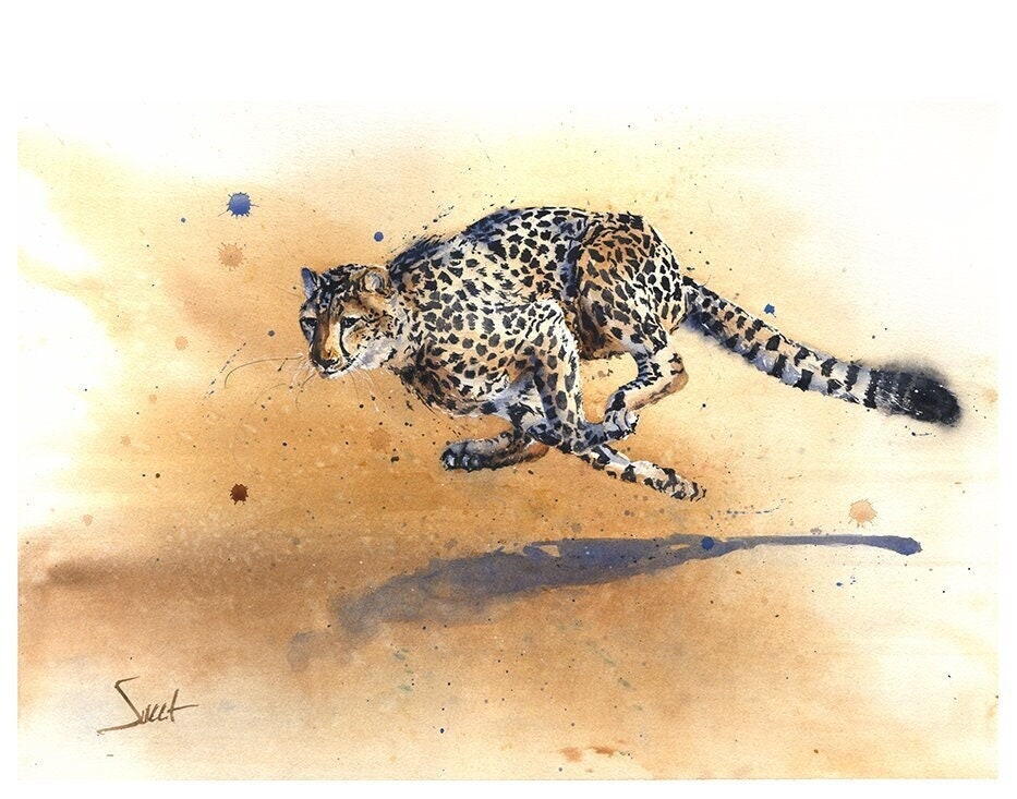 Drawings Of Cheetahs Running