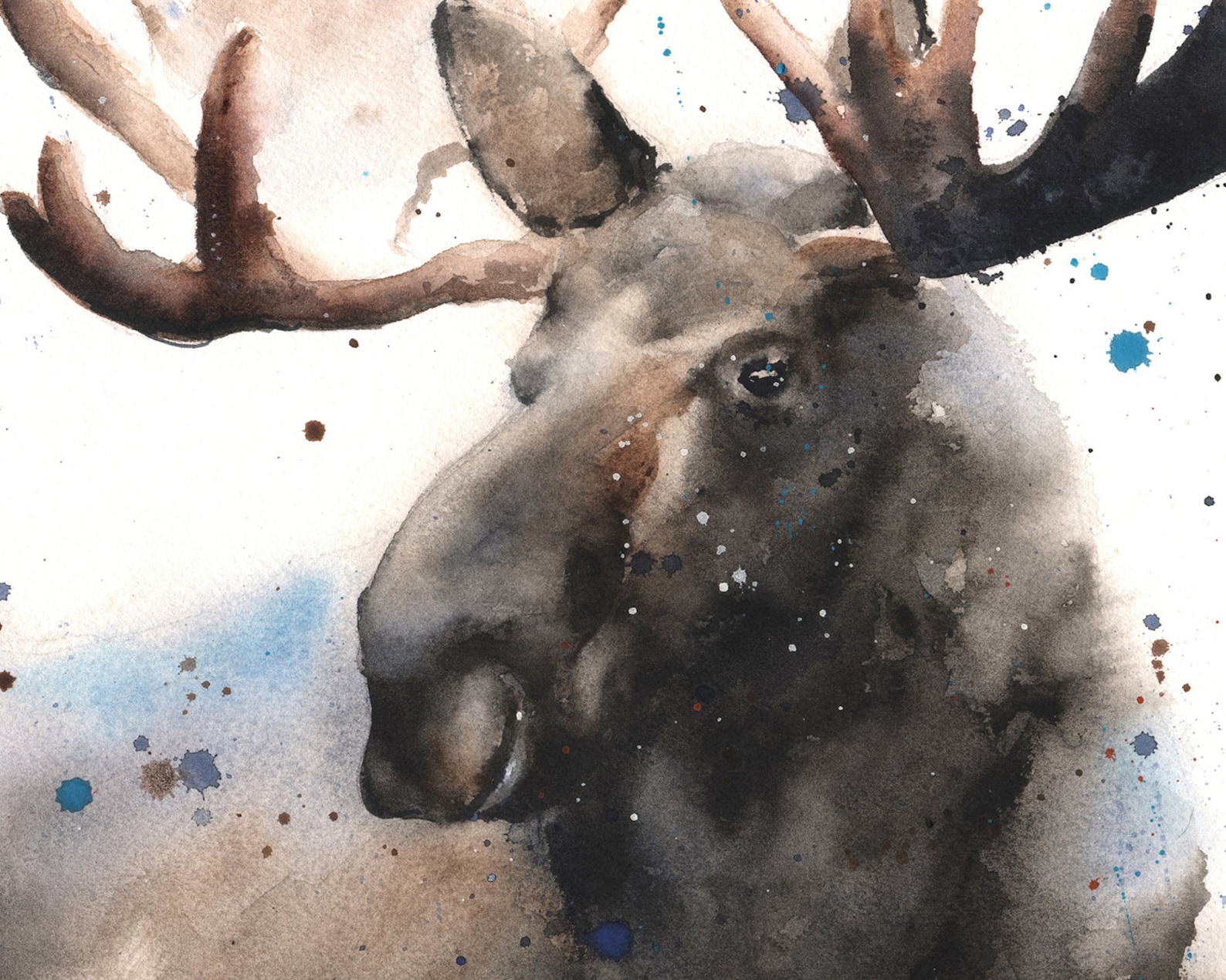 Canadian Moose Watercolor Painting Art Print by Eric Sweet - Etsy