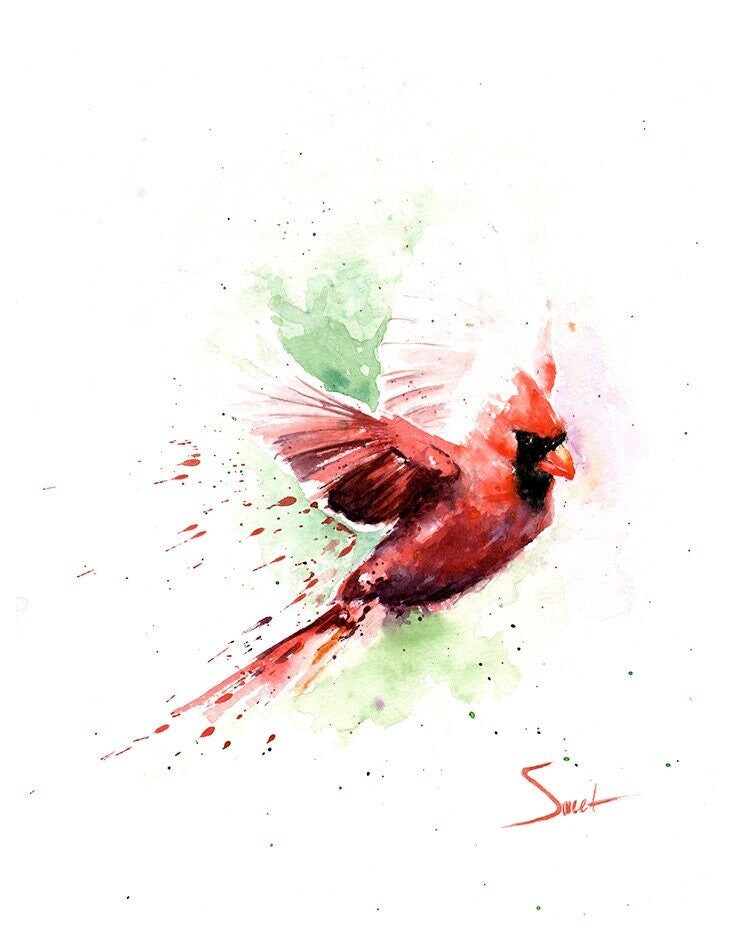 Flying Cardinal Drawing