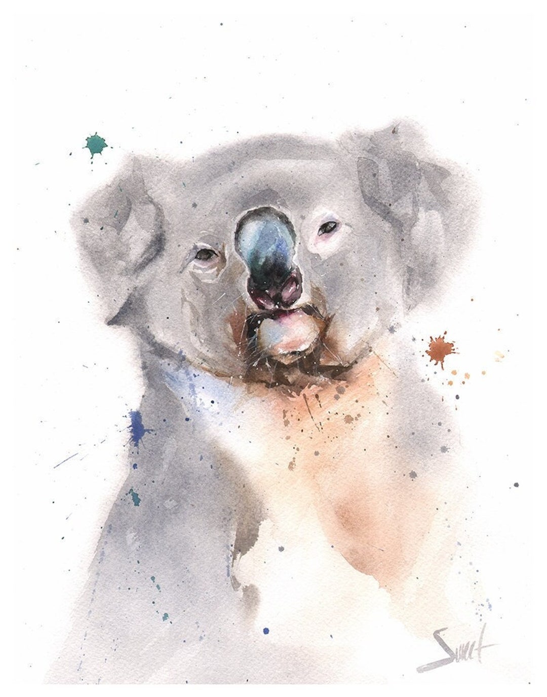 Koala Bear Watercolor Painting Art Print by Eric Sweet - Etsy