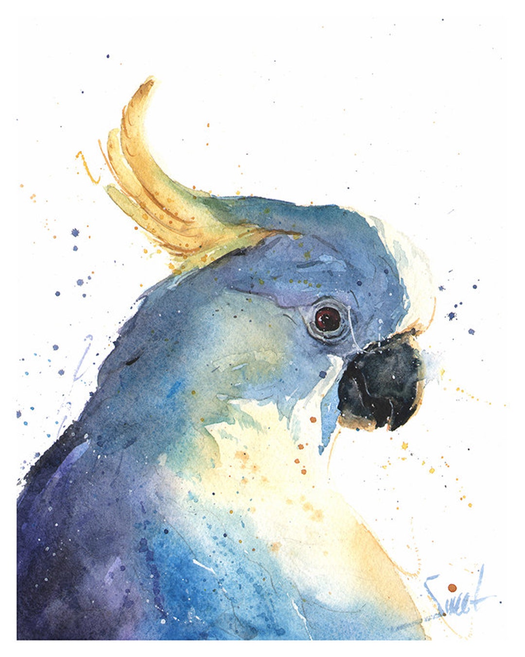 Cockatoo Parrot Watercolor Painting Art Print by Eric Sweet - Etsy