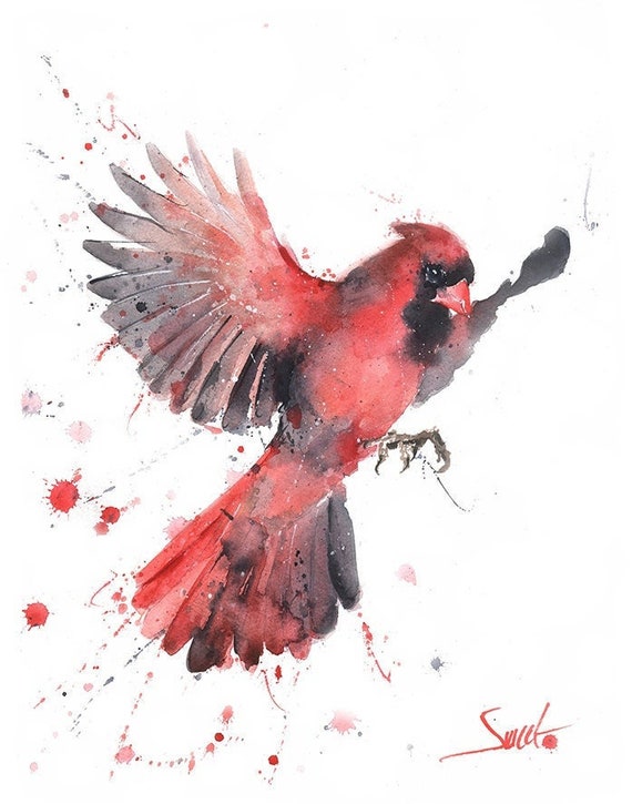 Flying Cardinal Drawing