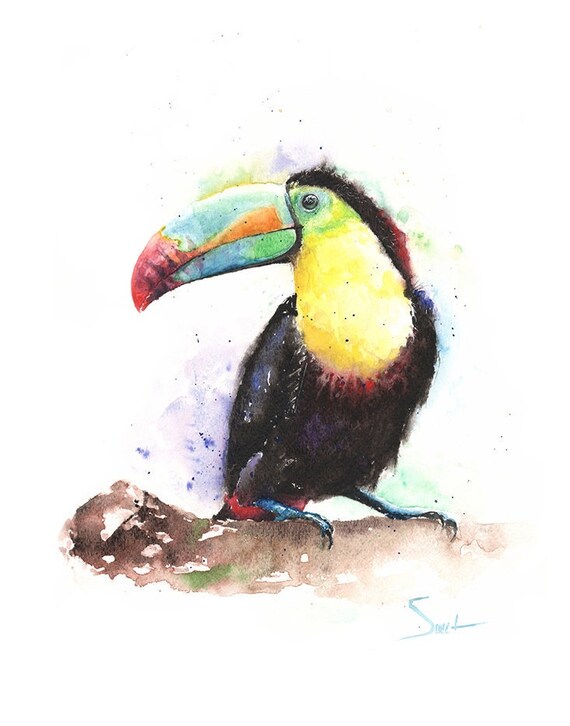 Keel Billed Toucan Art Print Watercolor Bird Painting by Eric - Etsy