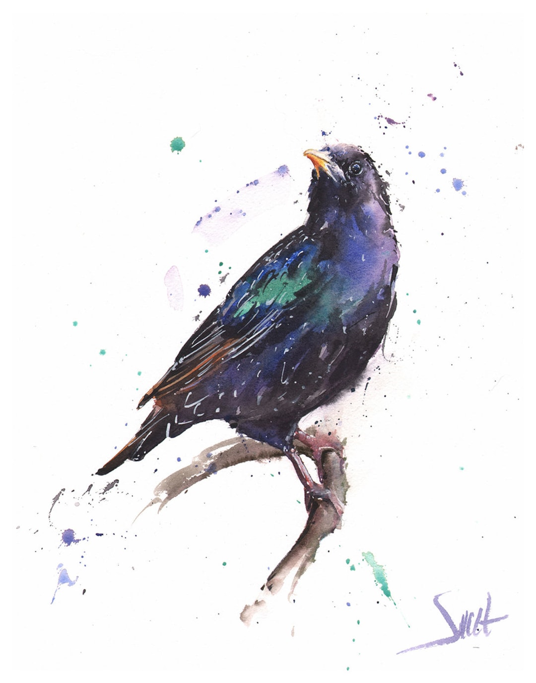 Watercolor Starling Bird Print, Iridescent Bird Wall Art, European ...