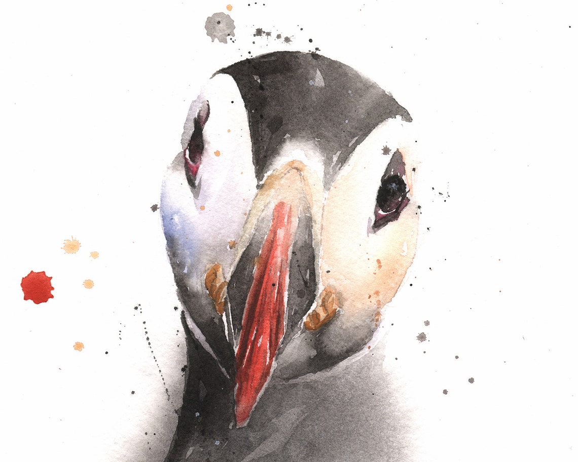 Puffin Bird Watercolor Illustration Painting Art Print by Eric Sweet - Etsy