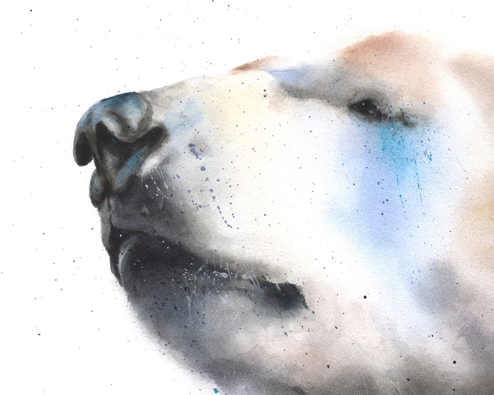 Polar Bear Art Print Watercolor Illustration Painting Animal - Etsy