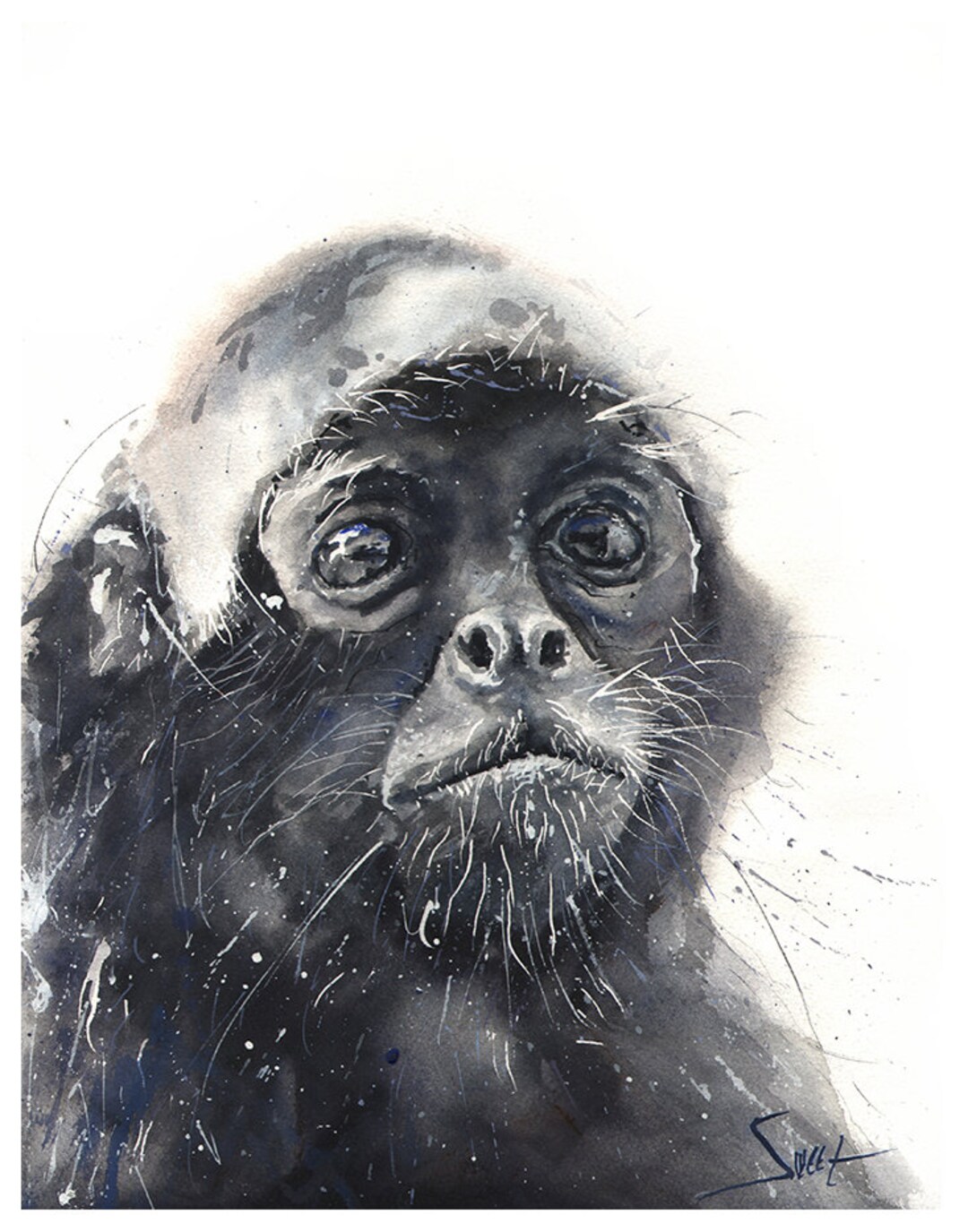 Watercolor Spider Monkey Print - Tropical Jungle Animal Art - Etsy