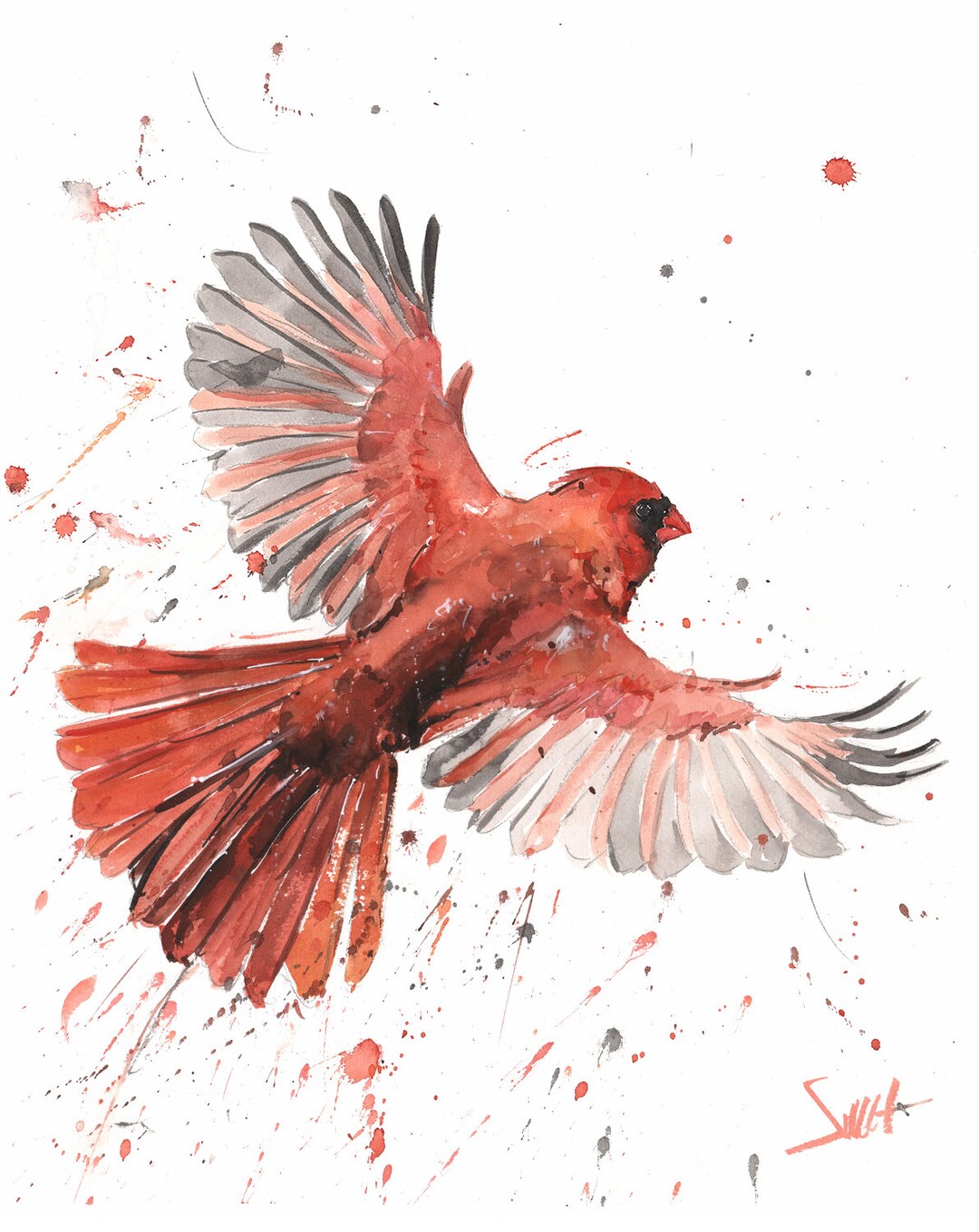 Cardinal Watercolor Painting Bird Art Print by Eric Sweet - Etsy